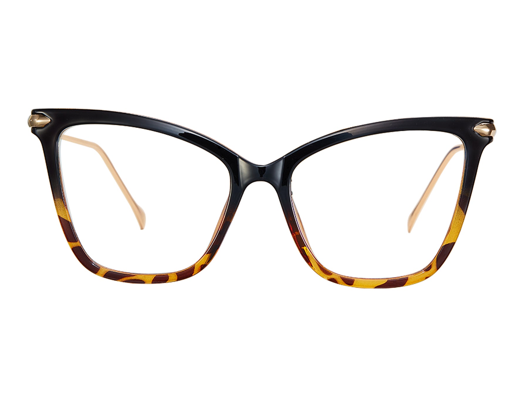 Charisma Eyeglasses – Optical Factor